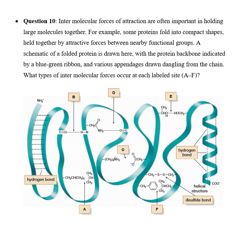 Solved • Question 10: Inter molecular forces of attraction | Chegg.com