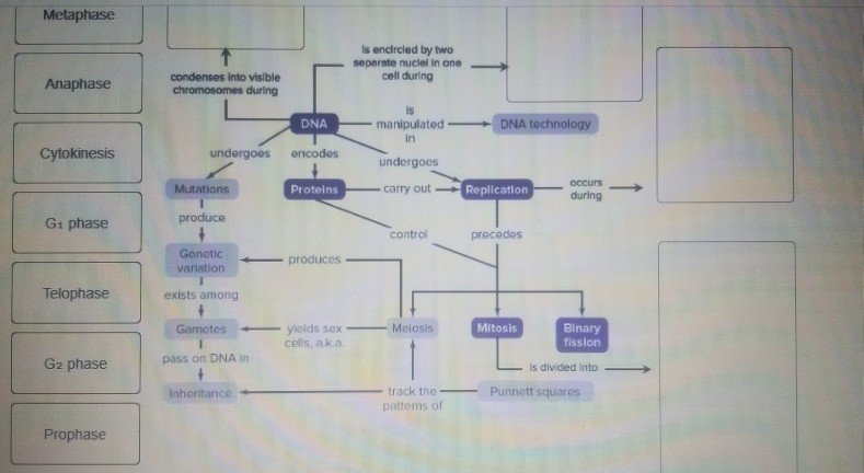 Solved Fill in the concept map below with the appropriate | Chegg.com