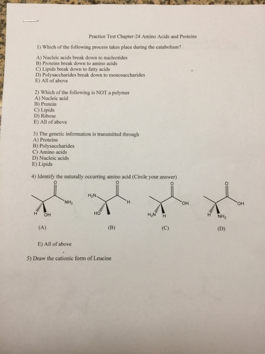 Solved Practice Test Chapter-24 Amino Acids and Proteins 1) | Chegg.com