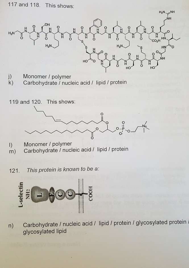 Monomer Structure Of Lipids