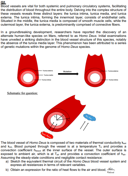 Solved by an EXPERT Q2.Blood vessels are vital for both systemic and | Chegg.com