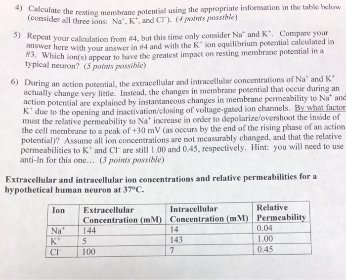 Solved 4) Calculate t e resting membrane potential using the | Chegg.com