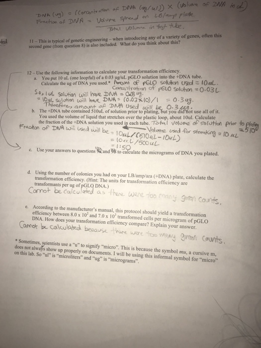 Solved This is form the pGLO lab. I need help with question | Chegg.com