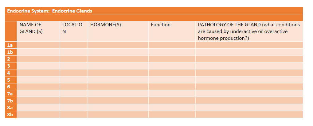 Solved Endocrine System: Endocrine GlandsComplete the table | Chegg.com
