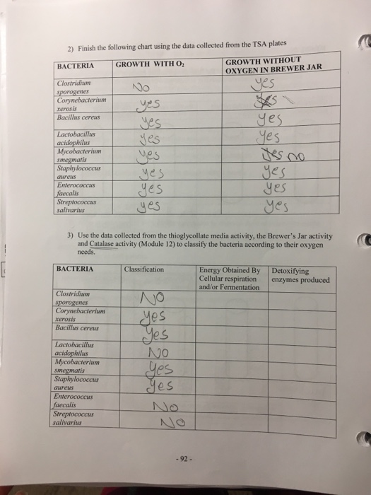 Solved MODULE 11 OXYGEN REQUIREMENTS OBJECTIVES Be familiar | Chegg.com