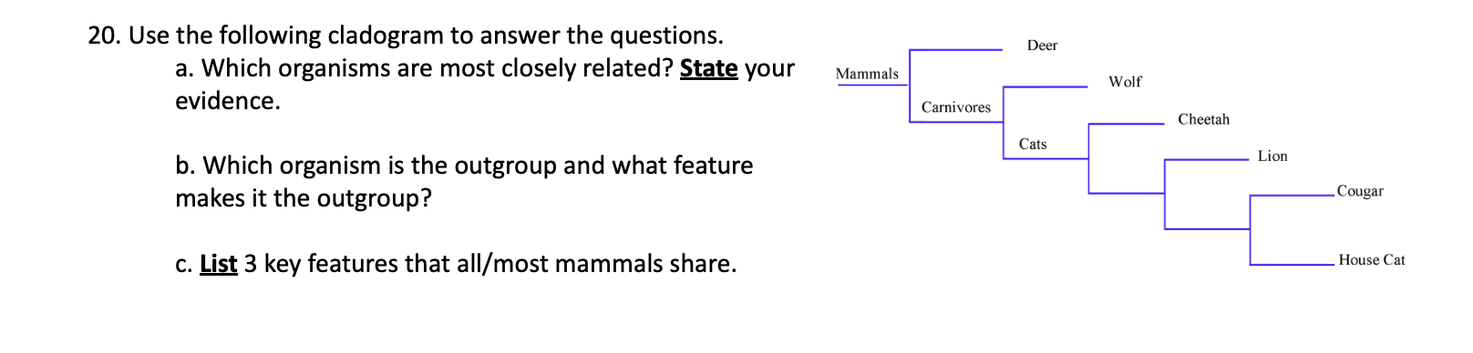 Solved 20. Use the following cladogram to answer the | Chegg.com