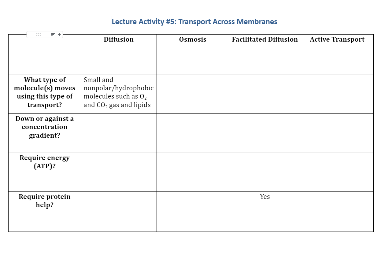 Solved Lecture Activity #5: Transport Across Membranes | Chegg.com