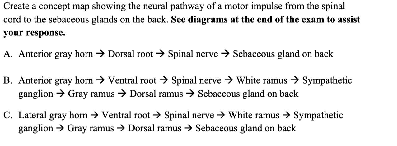 Solved Create a concept map showing the neural pathway of a | Chegg.com