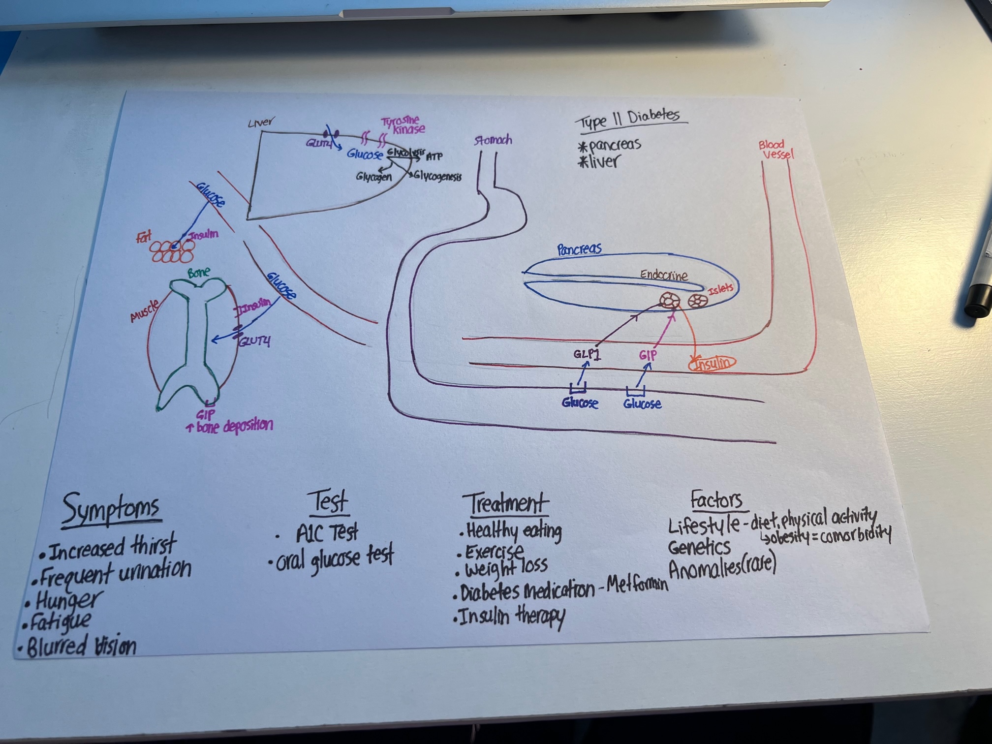 Solved The diagram shows the healthy state of this system, | Chegg.com