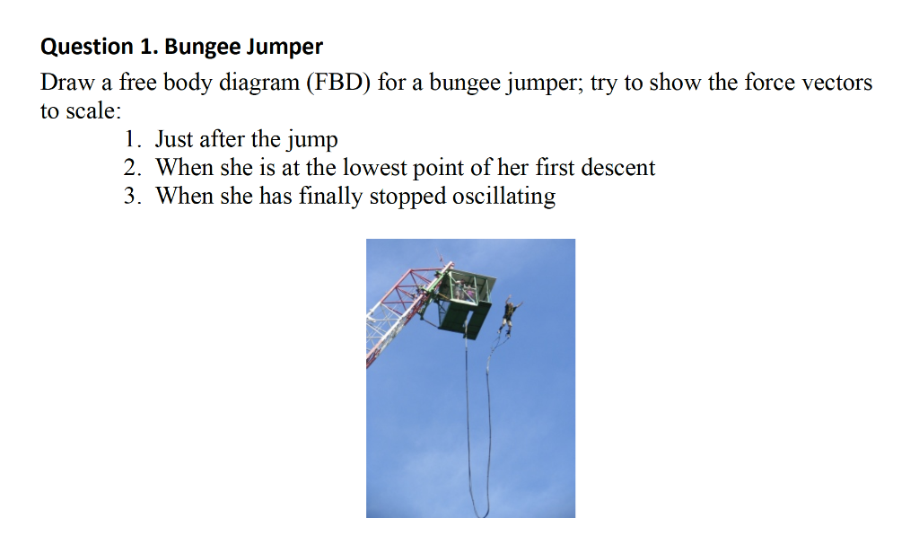 Solved Question 1. Bungee Jumper Draw a free body diagram | Chegg.com