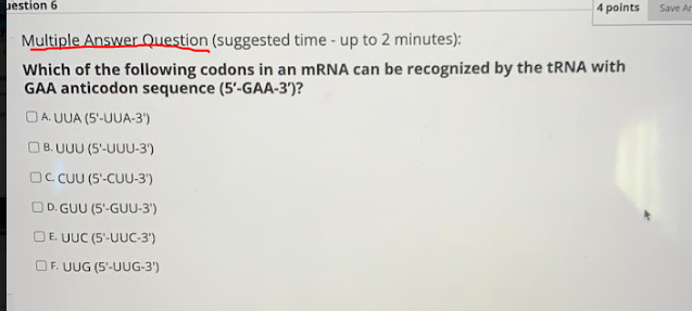 Solved Which of the following codons in an mRNA can be | Chegg.com