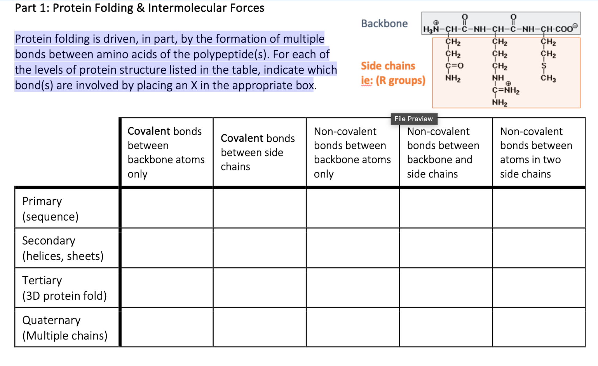 Solved Part 1 Protein Folding Intermolecular Chegg