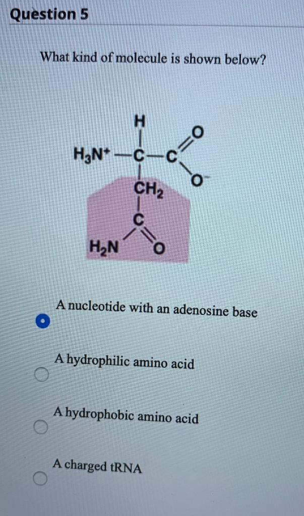 Solved What kind of molecule is shown below? The answer | Chegg.com