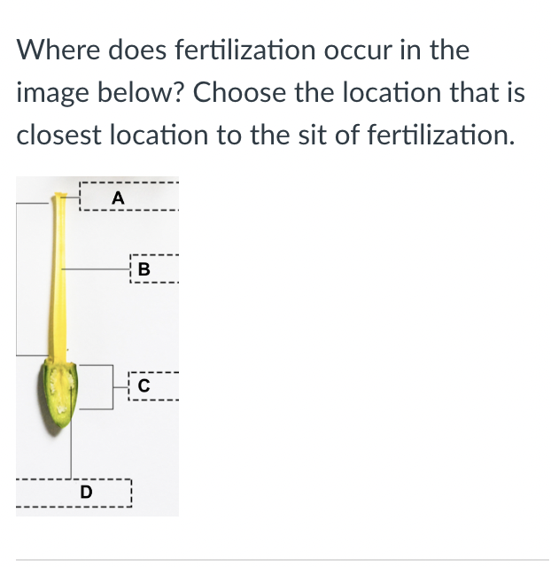 Solved by an EXPERT Where does fertilization occur in the image below ...