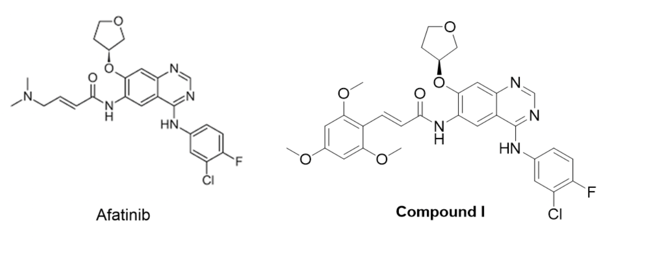 Solved Afatinib A crystal structure showing the binding of | Chegg.com