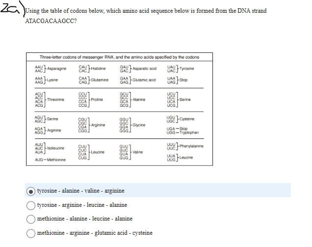 ( Using the table of codons below, which amino acid | Chegg.com