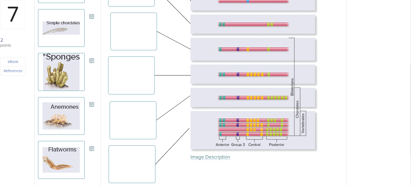 Solved Numbers of Hox genes Match each orranicm to itc | Chegg.com Solved Numbers of Hox genes Match each orranicm to itc | Chegg.com