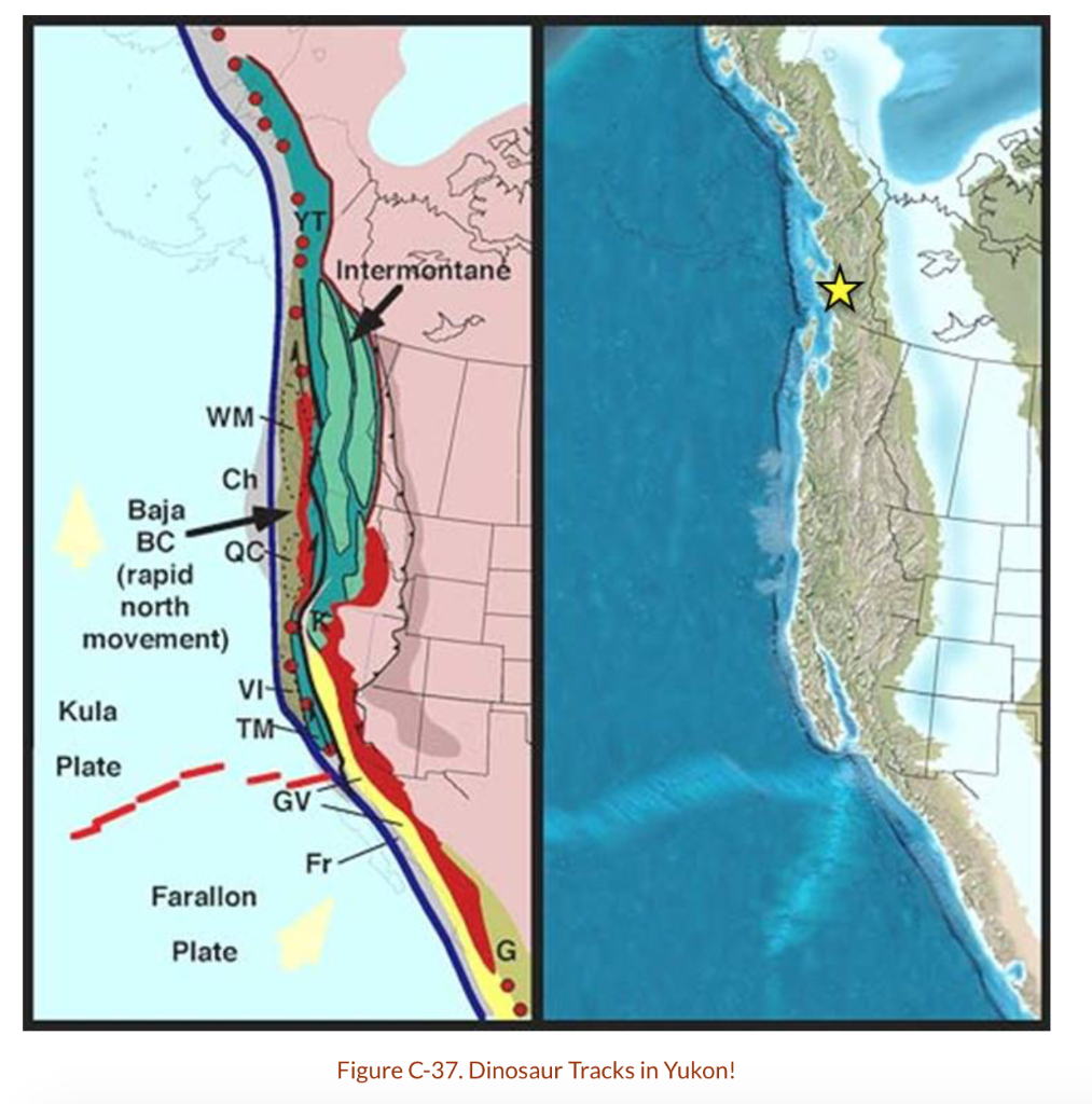 Solved The Ross River fossils were found in the | Chegg.com
