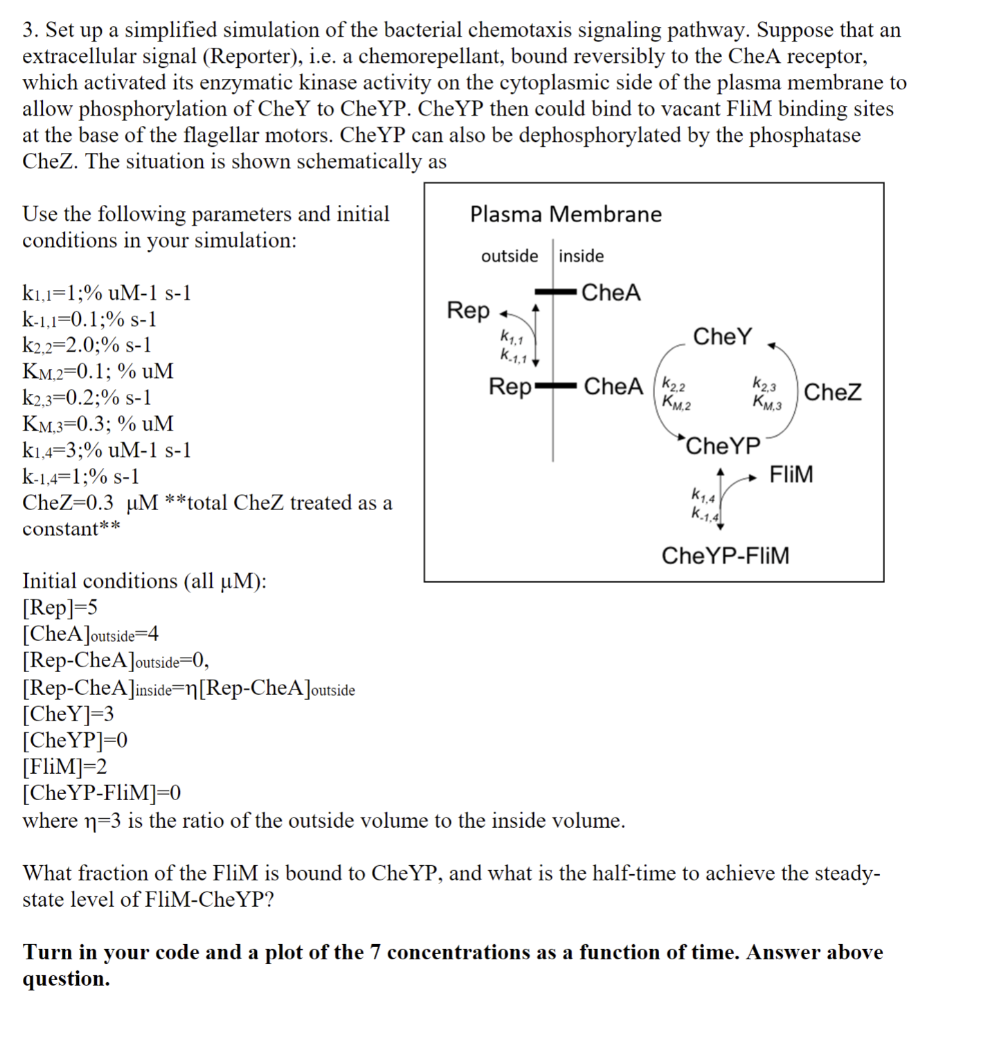 Solved 3. Set up a simplified simulation of the bacterial | Chegg.com