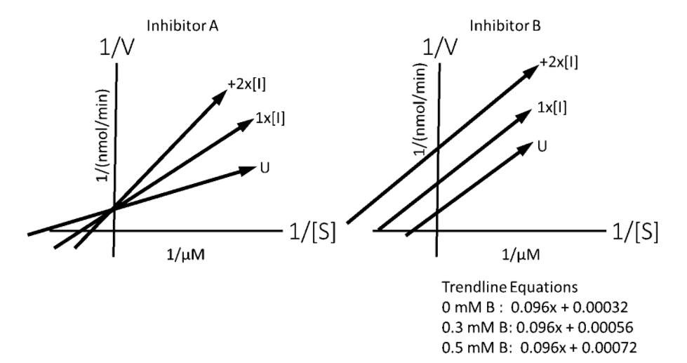 Solved You are comparing two inhibitors of your new favorite | Chegg.com