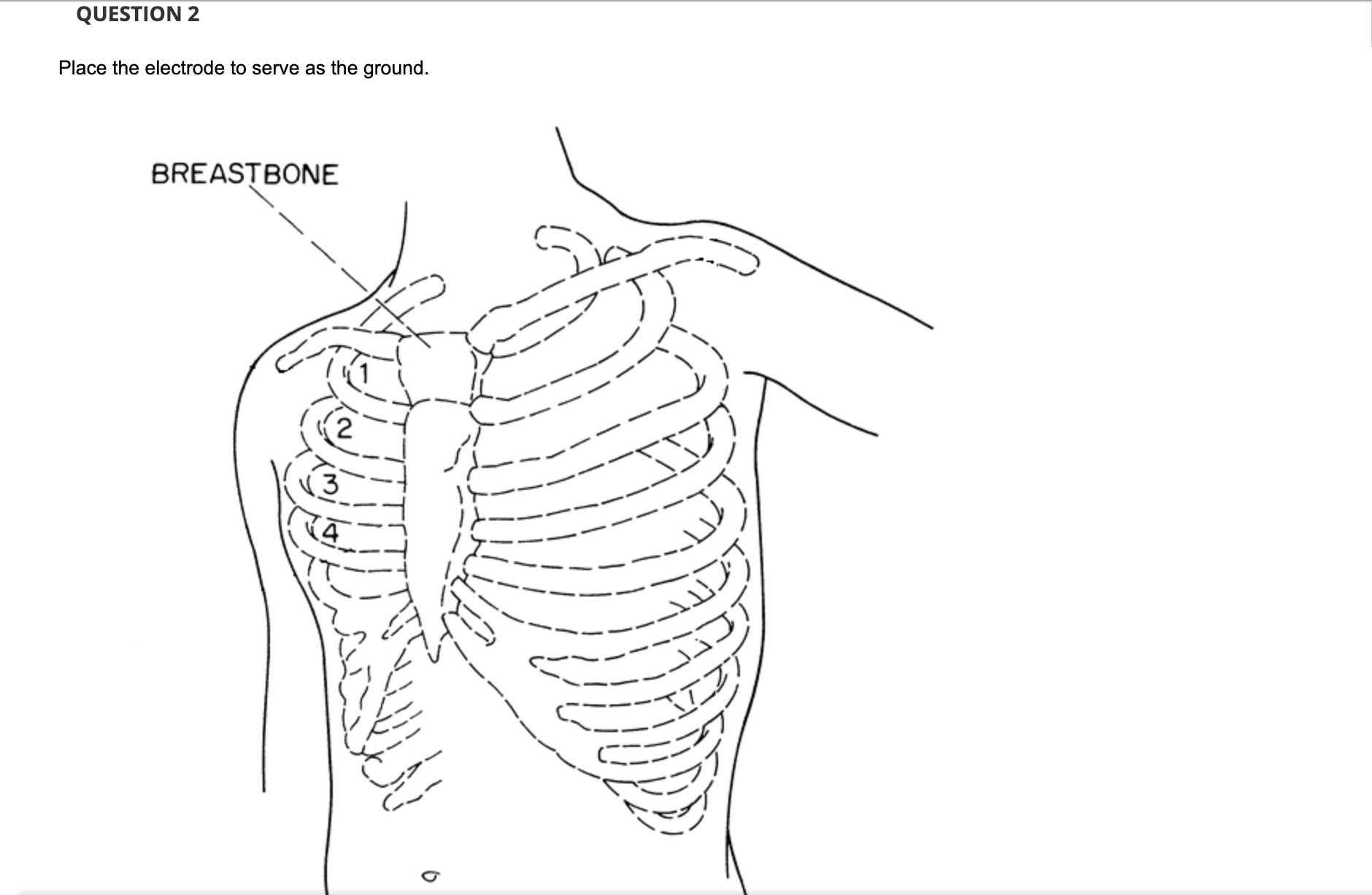 Solved Place the electrode to serve as the positive pole of | Chegg.com
