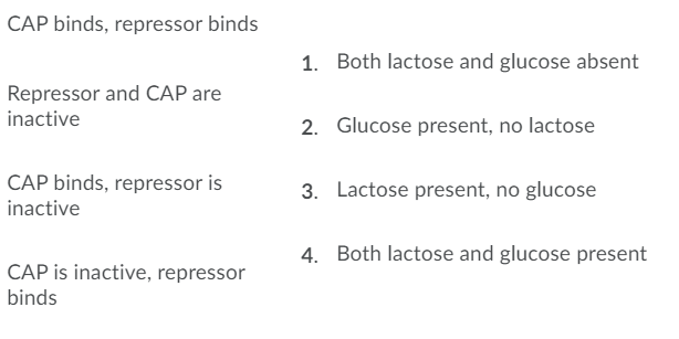 Solved CAP binds, repressor binds 1. Both lactose and | Chegg.com