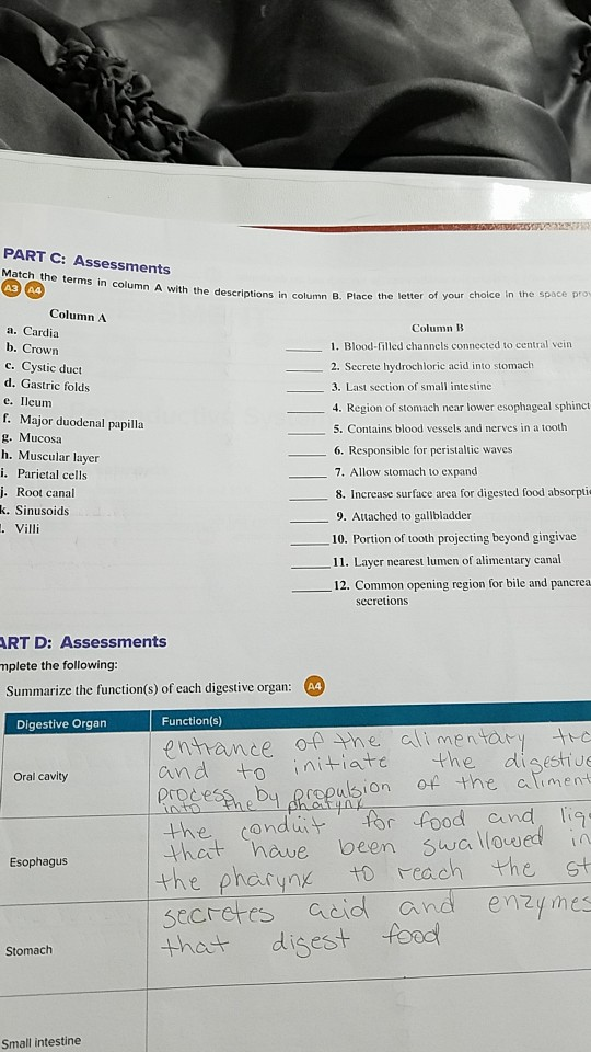Solved PART C: Assessments Match the terms in column A with | Chegg.com