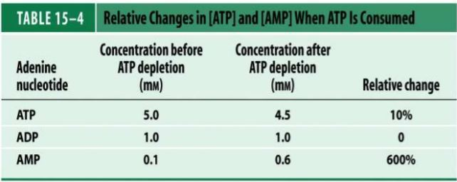 Solved The reaction 2ADP ⇌ ATP + AMP serves to regenerate | Chegg.com