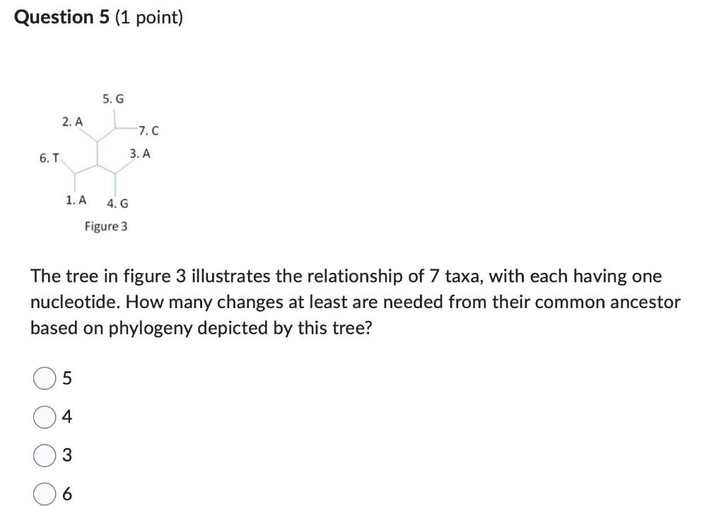 Solved Question 5 (1 point) The tree in figure 3 illustrates | Chegg.com