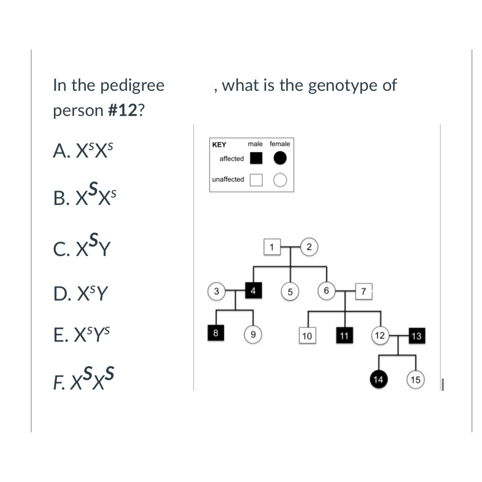 Solved In the pedigree , ﻿what is the genotype of person | Chegg.com