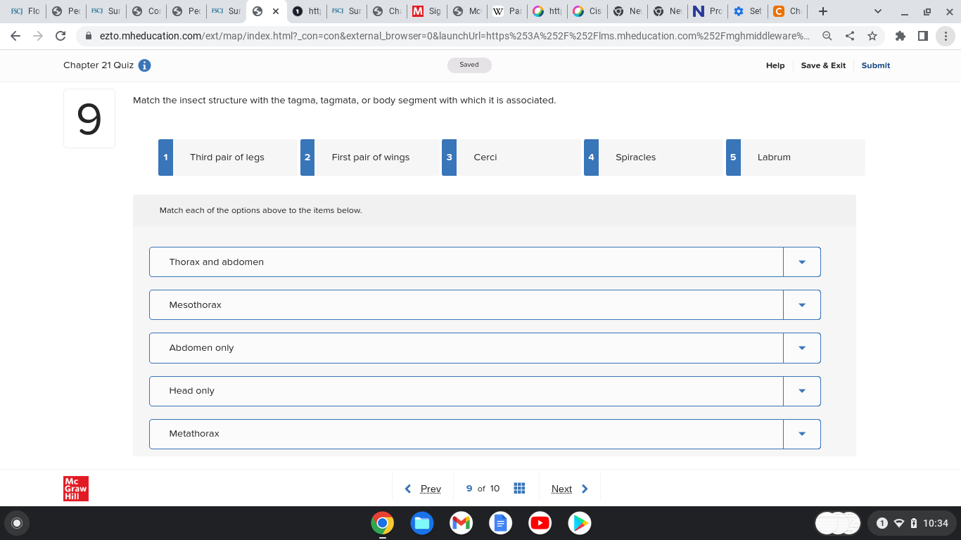 Solved Match the insect structure with the tagma, tagmata, | Chegg.com