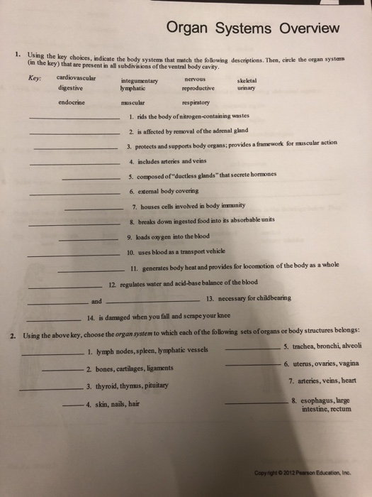 Solved Organ Systems Overview t he key choizes, indicate the | Chegg.com