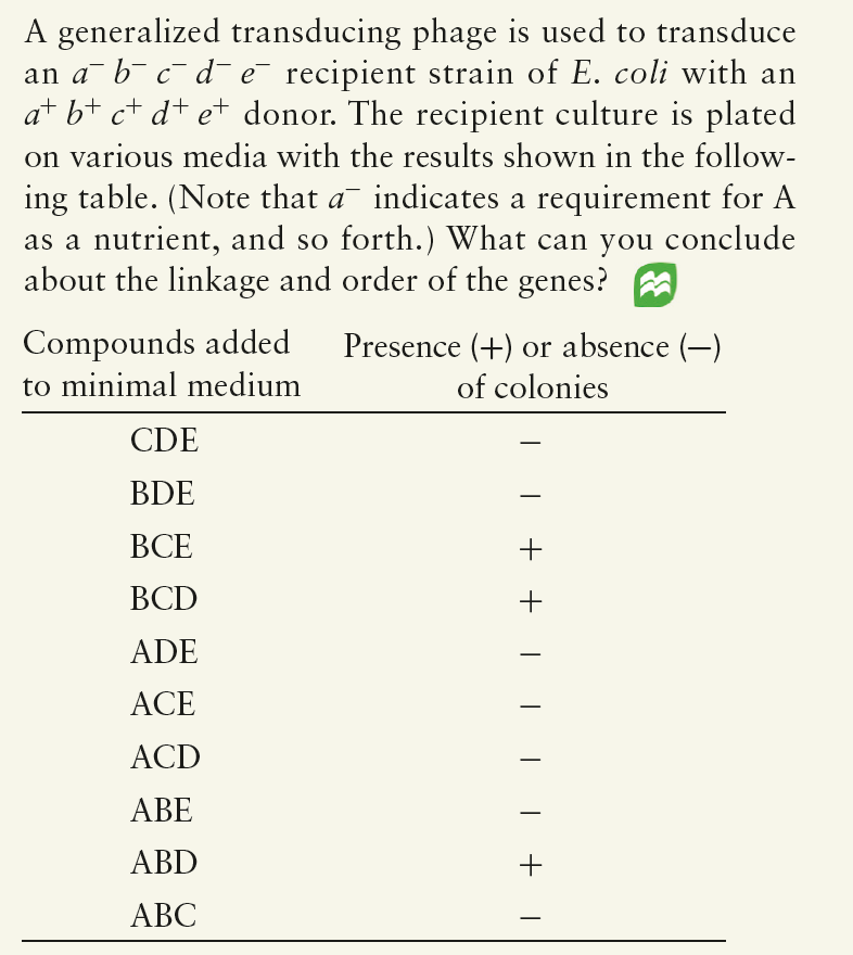Solved by an EXPERT A generalized transducing phage is ﻿used to | Chegg.com