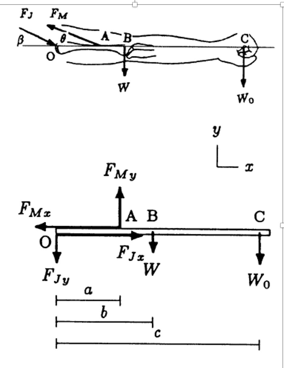 Solved Consider a person performing shoulder exercises by | Chegg.com