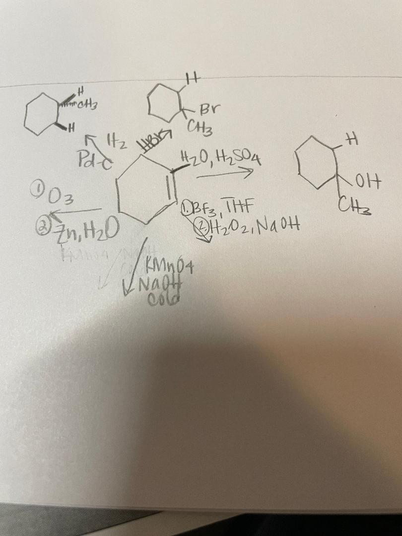 Solved (1) O3 (2) 2n1H2O 1. BF3,THF | Chegg.com