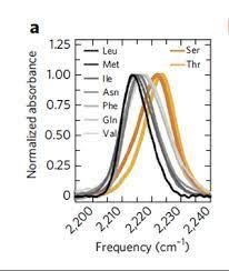 4. Infrared spectroscopy can be used to probe | Chegg.com