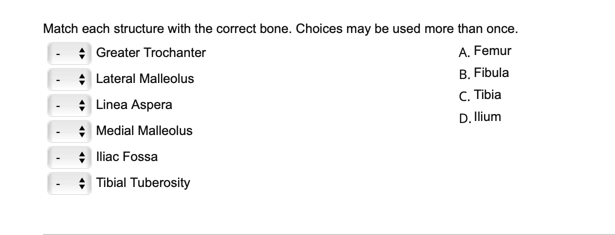 Solved Match each structure with the correct bone. Choices | Chegg.com