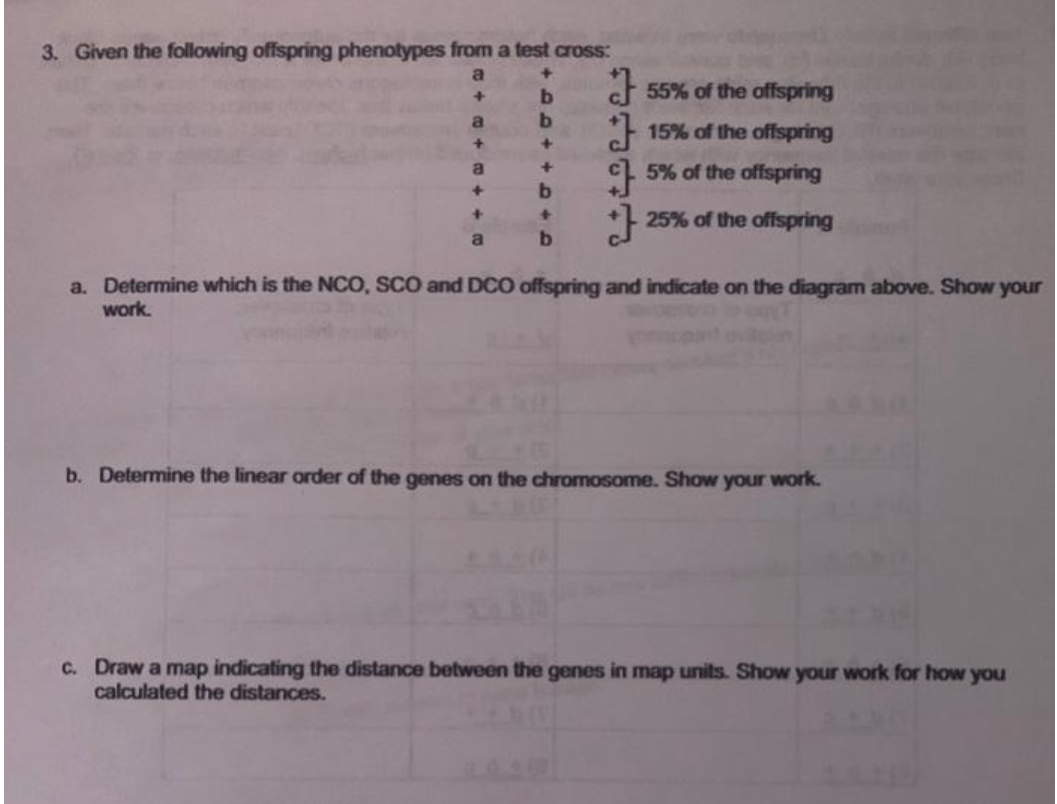 [Solved]: Given the following offspring phenotypes from a t