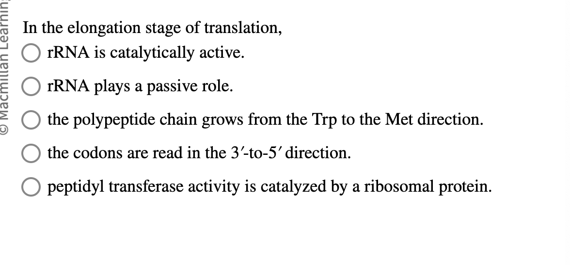 Solved In the elongation stage of translation,rRNA is | Chegg.com