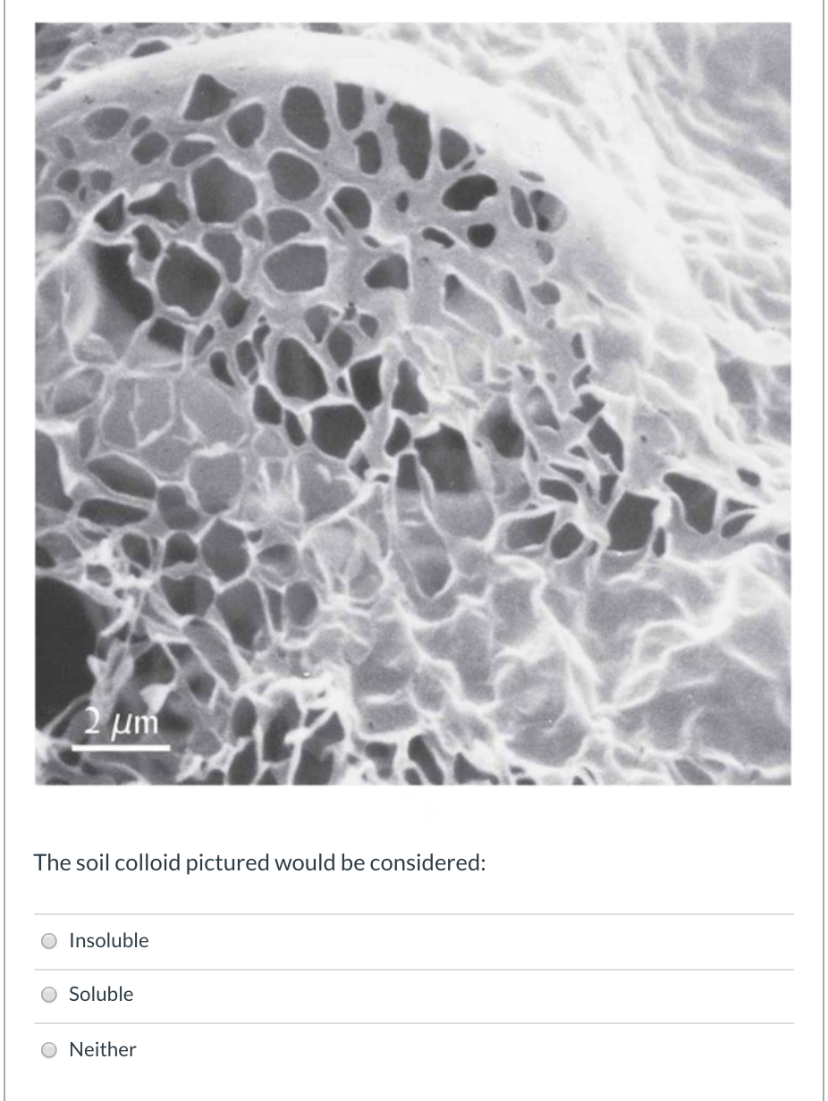 Solved 2μή Which type of soil colloid is represented in this | Chegg.com