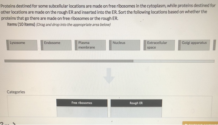 Solved Proteins destined for some subcellular locations are | Chegg.com