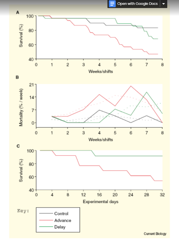 Solved Analysis. 1. Experiment 1. Mortality of aged mice was | Chegg.com