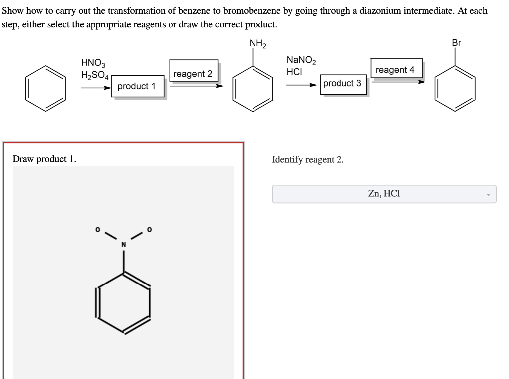 Solved Show how to carry out the transformation of benzene | Chegg.com