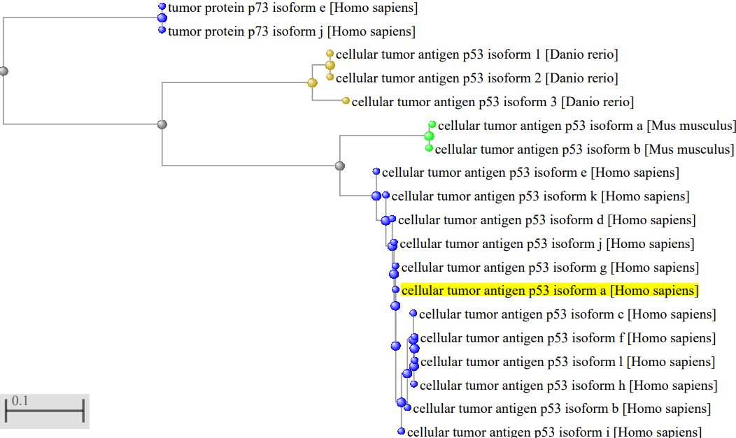Solved What are the homologs, paralogs, and orthologs | Chegg.com