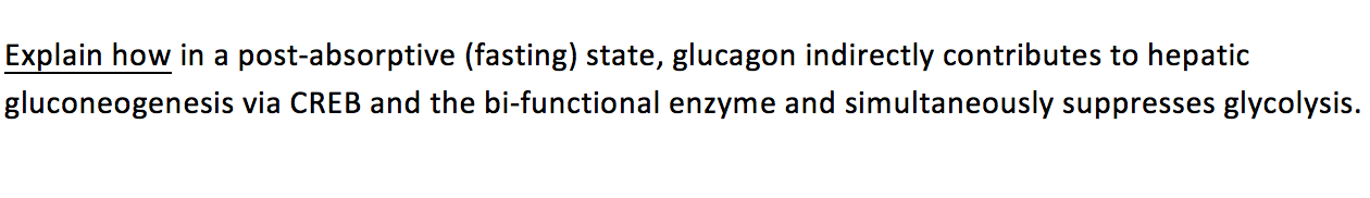 Solved Explain how in a post-absorptive (fasting) state, | Chegg.com Solved Explain how in a post-absorptive (fasting) state, | Chegg.com