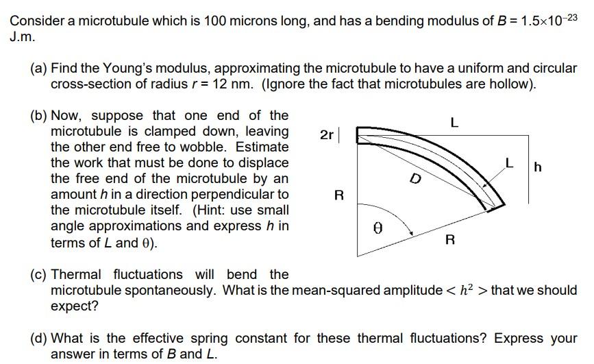 Solved Consider a microtubule which is 100 microns long, and | Chegg.com