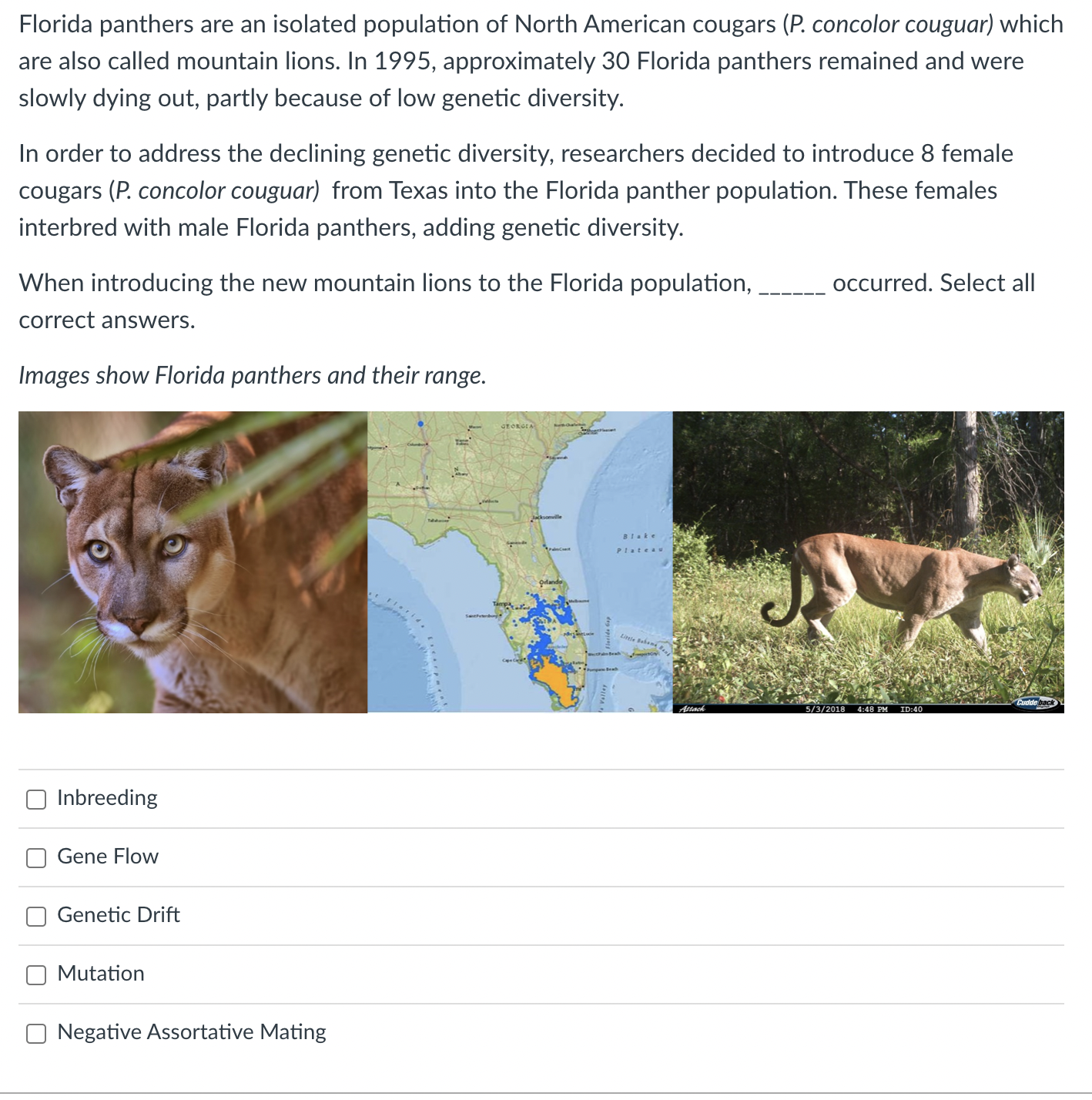 Solved when introducing the new mountain lions to the | Chegg.com