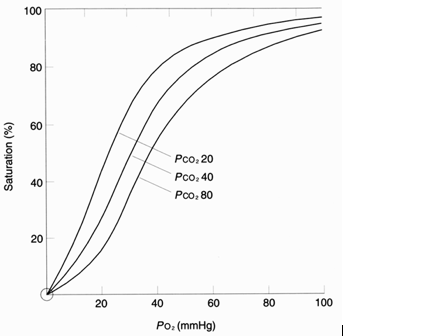 Solved 1. At a PO2 of 40, which condition has the | Chegg.com