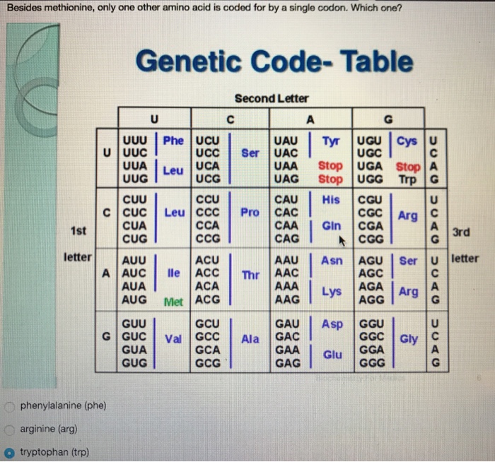 Solved Besides Methionine Only One Other Amino Acid Is