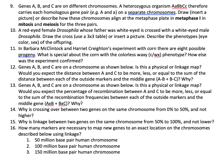 Solved 9. Genes A, B, and Care on different chromosomes. A | Chegg.com